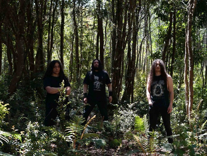 Chile’s HALLUX VALGUS Release Debut Album ‘Reflections Of Distant ...